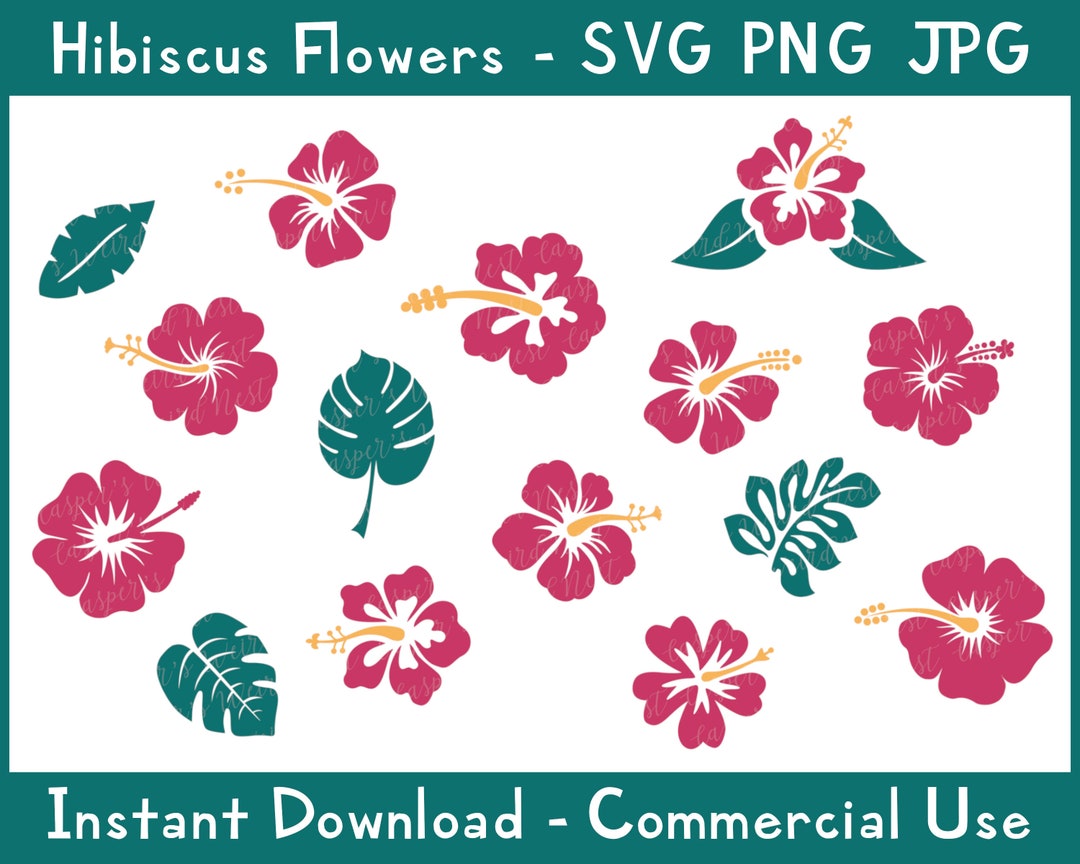 Hibiscus Flowers SVG, PNG, JPG, Cut File (digital Download) - Etsy