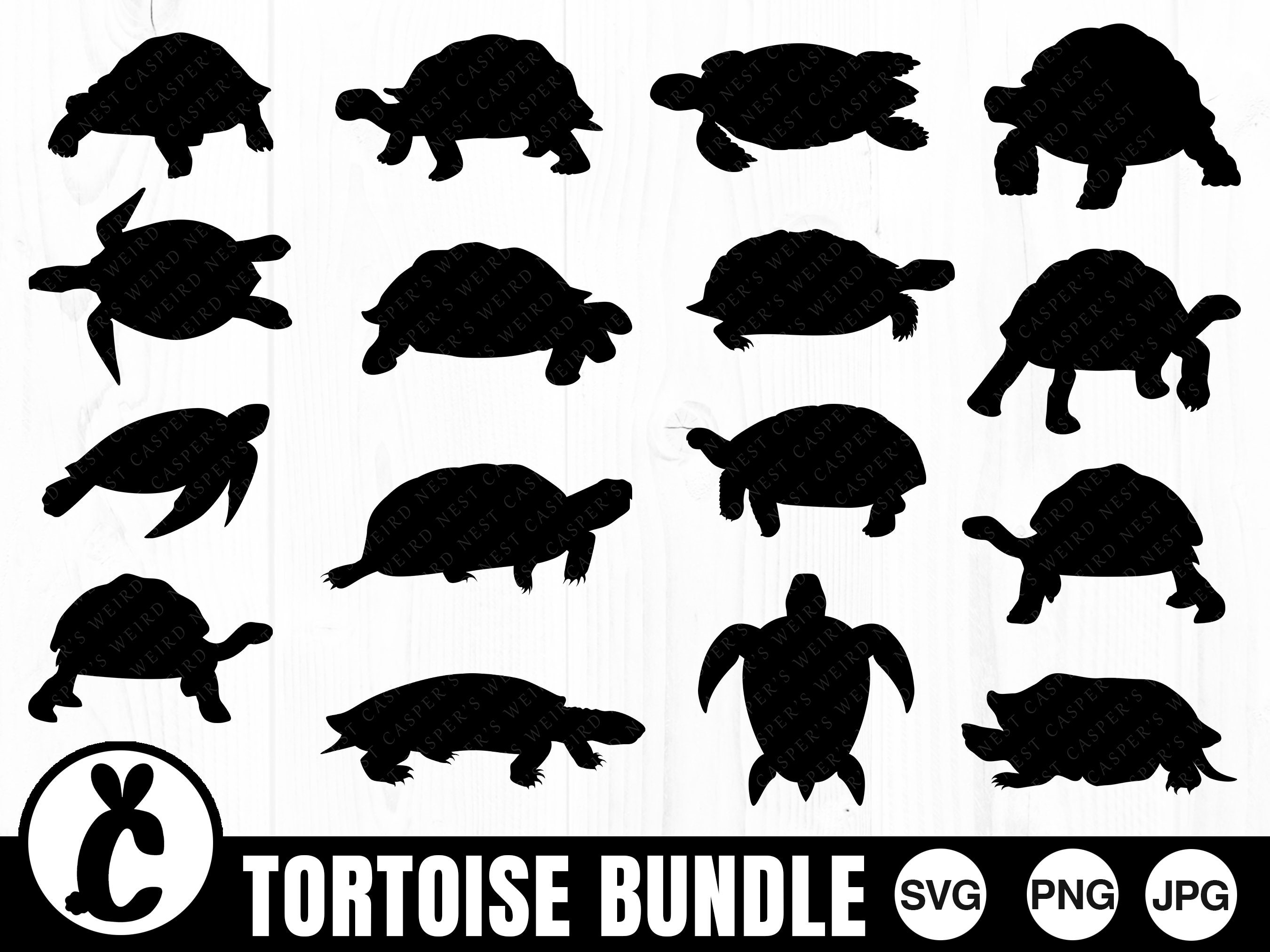 Tortoise Silhouettes - SVG, PNG, JPG - Digital Cut File, Transparent ...