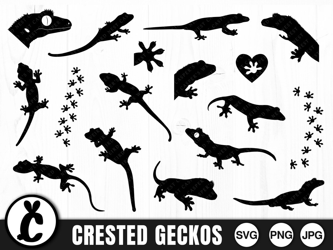 Crested Gecko Bundle, SVG, PNG, JPG, Commercial Use, Digital Cut Files ...