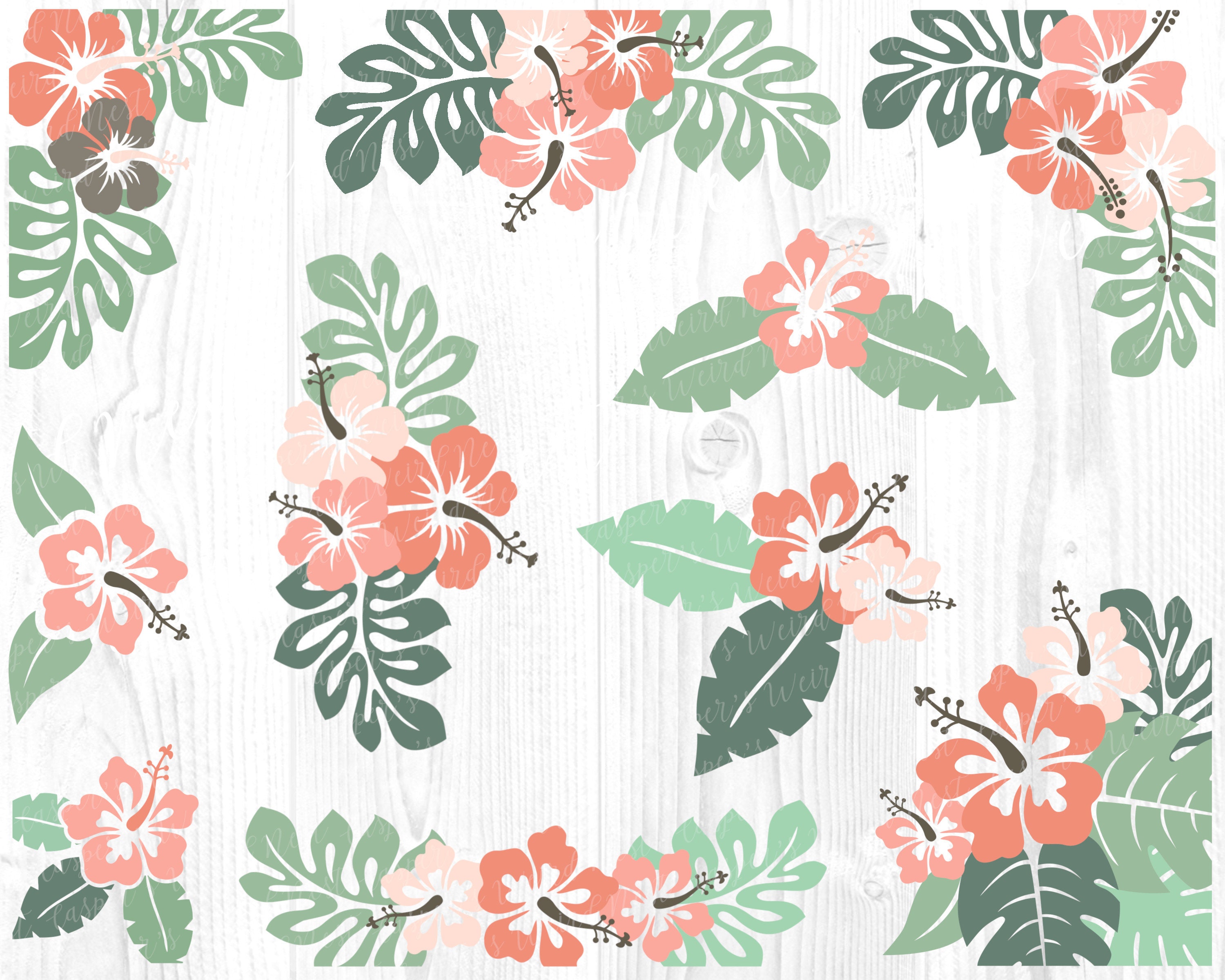 Tropical Flowers Cut Files Bundle SVG PNG JPG Digital - Etsy Australia