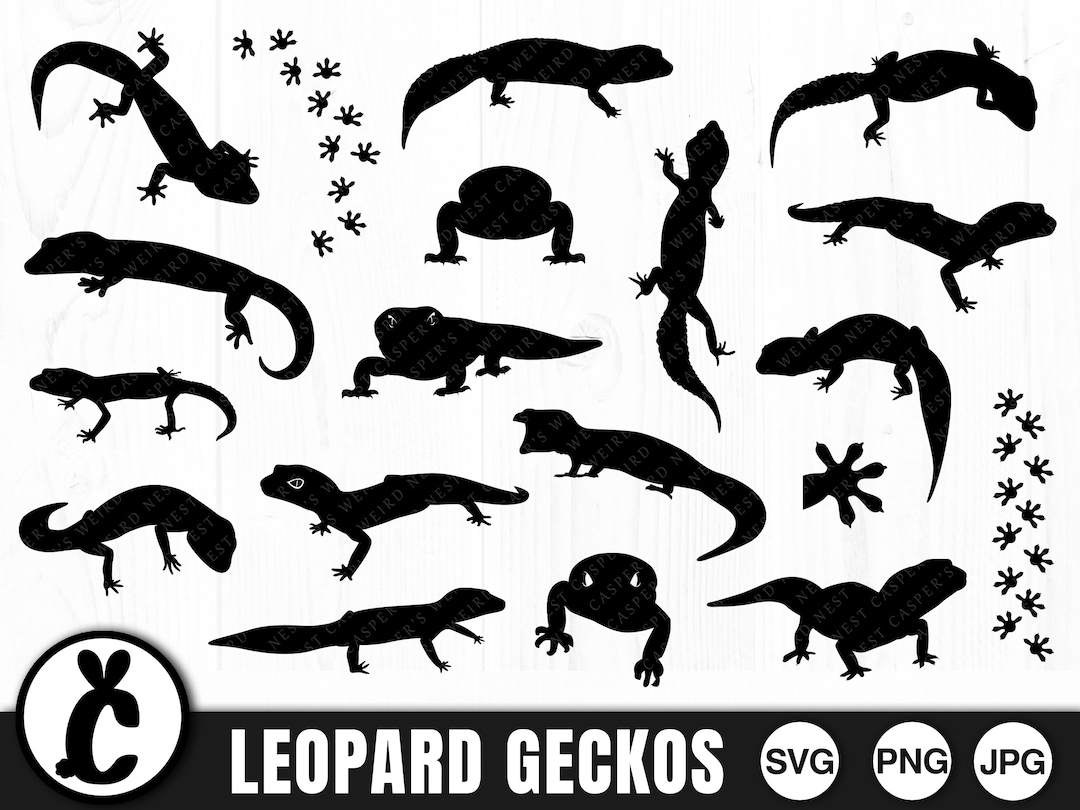 Leopard Geckos - SVG, PNG, JPG - Commercial Use, Digital Cut Files ...