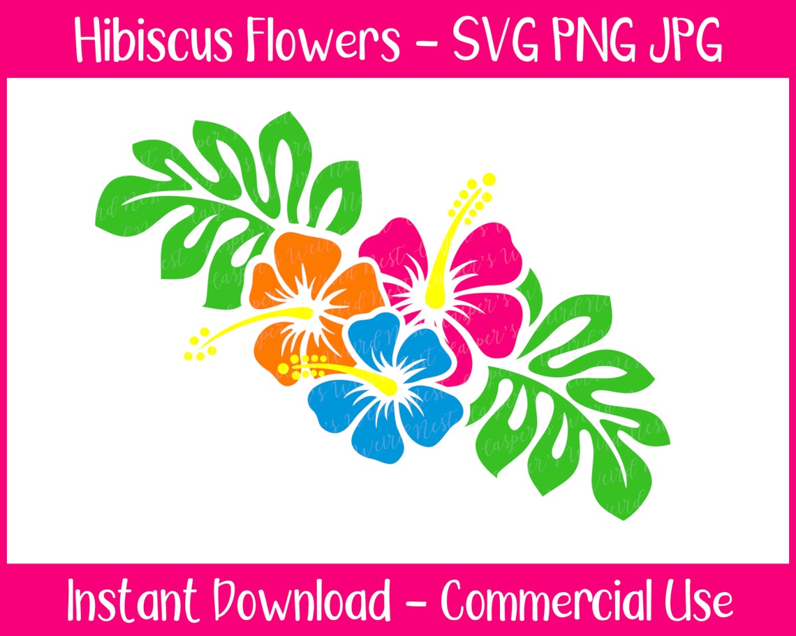 Tropical Flowers Cut File SVG PNG JPG Digital Vector | Etsy