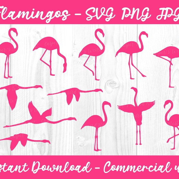 Flamingo Outline Svg - Etsy