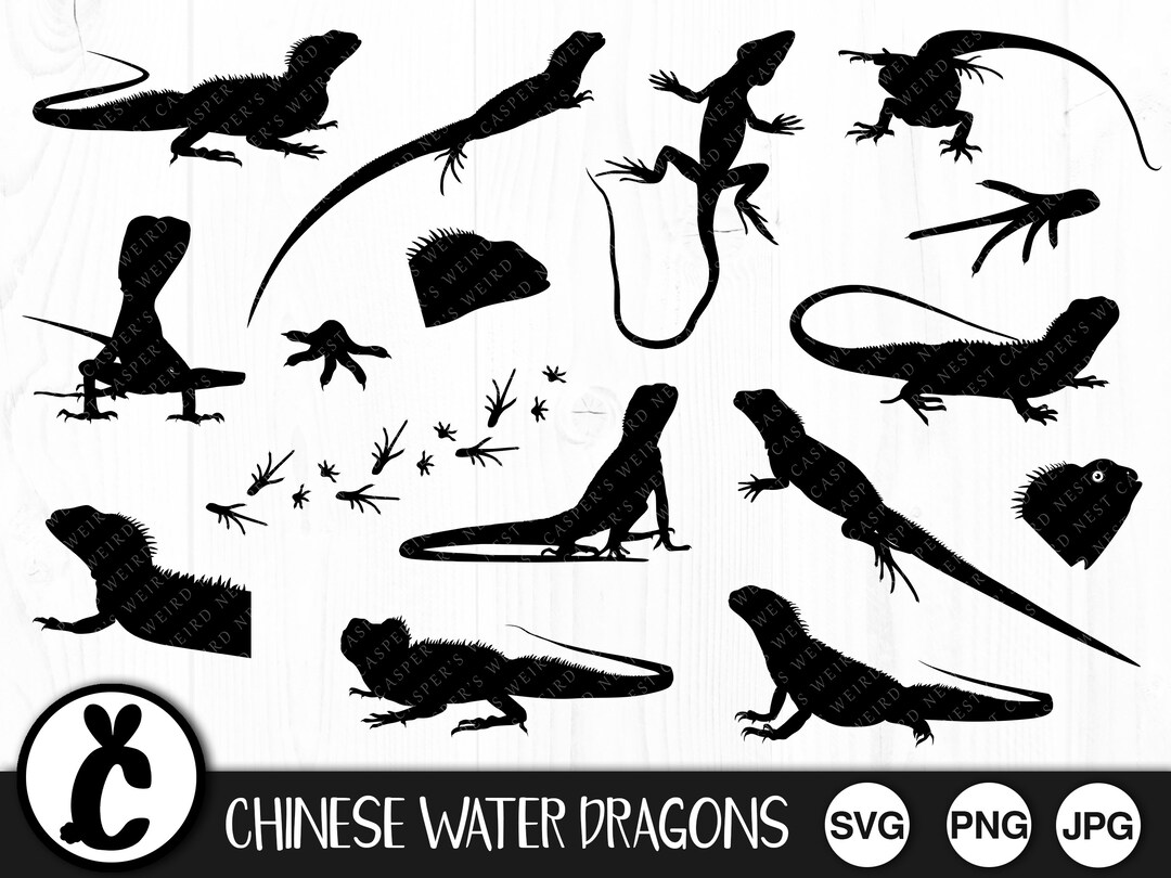 Chinese Water Dragons - SVG, PNG, JPG - Commercial Use, Instant ...