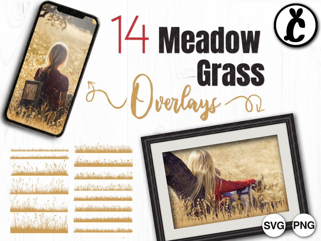 Meadow Photo Overlays, Transparent PNG, Commercial Use, Transparent ...