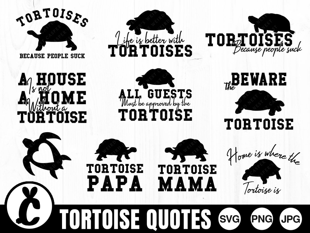 Tortoise Quotes Bundle, SVG, PNG, JPG, Commercial Use, Digital Cut File ...