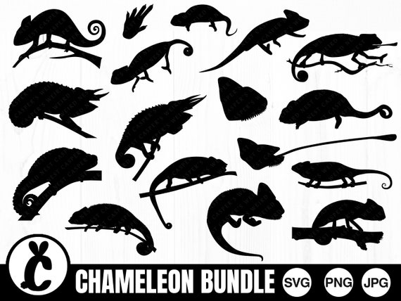 Chameleon Bundle SVG PNG JPG Commercial Use Digital Cut - Etsy