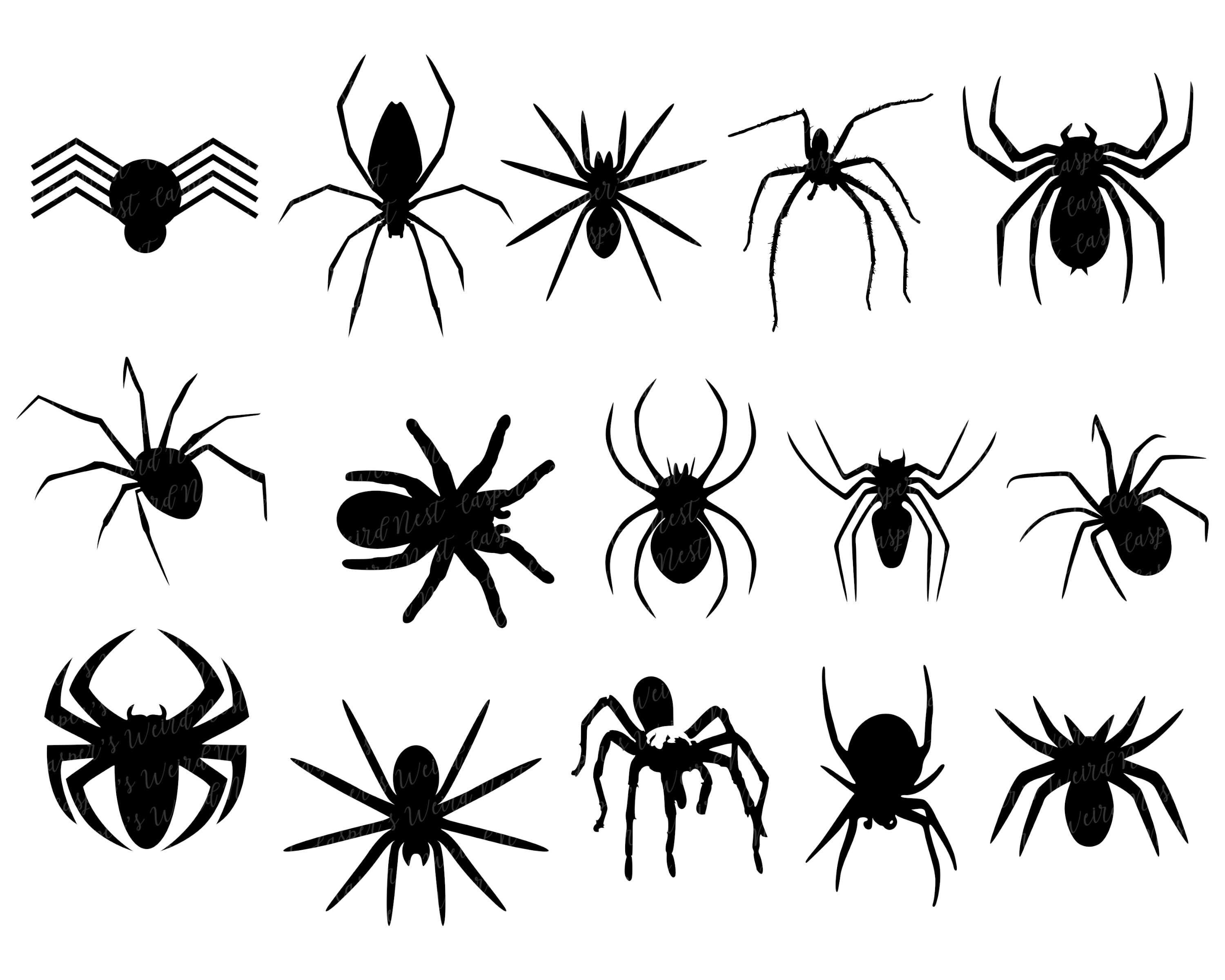 Huge Spiders Bundle SVG PNG JPG Digital Cut File | Etsy