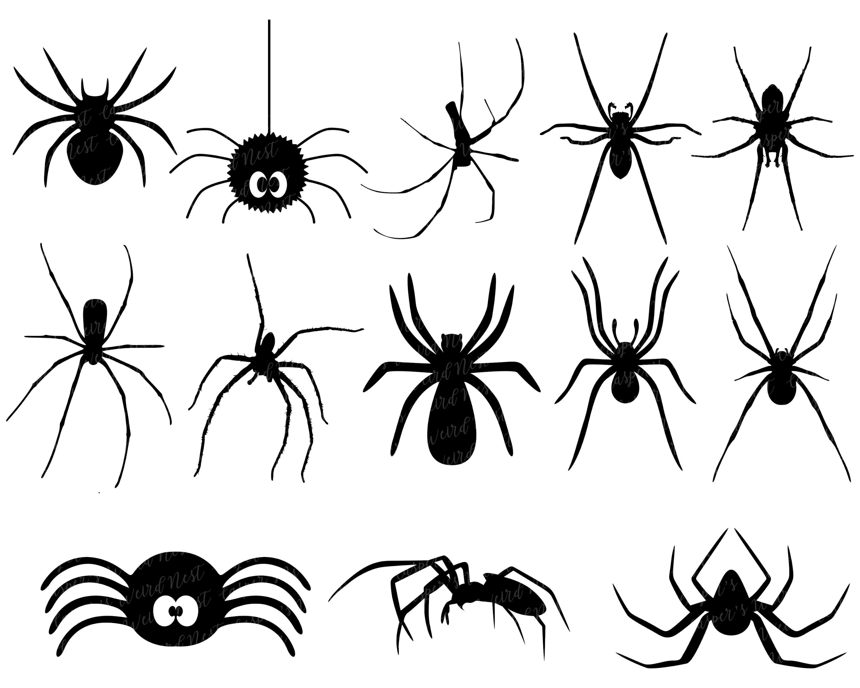 Huge Spiders Bundle SVG PNG JPG Digital Cut File | Etsy UK