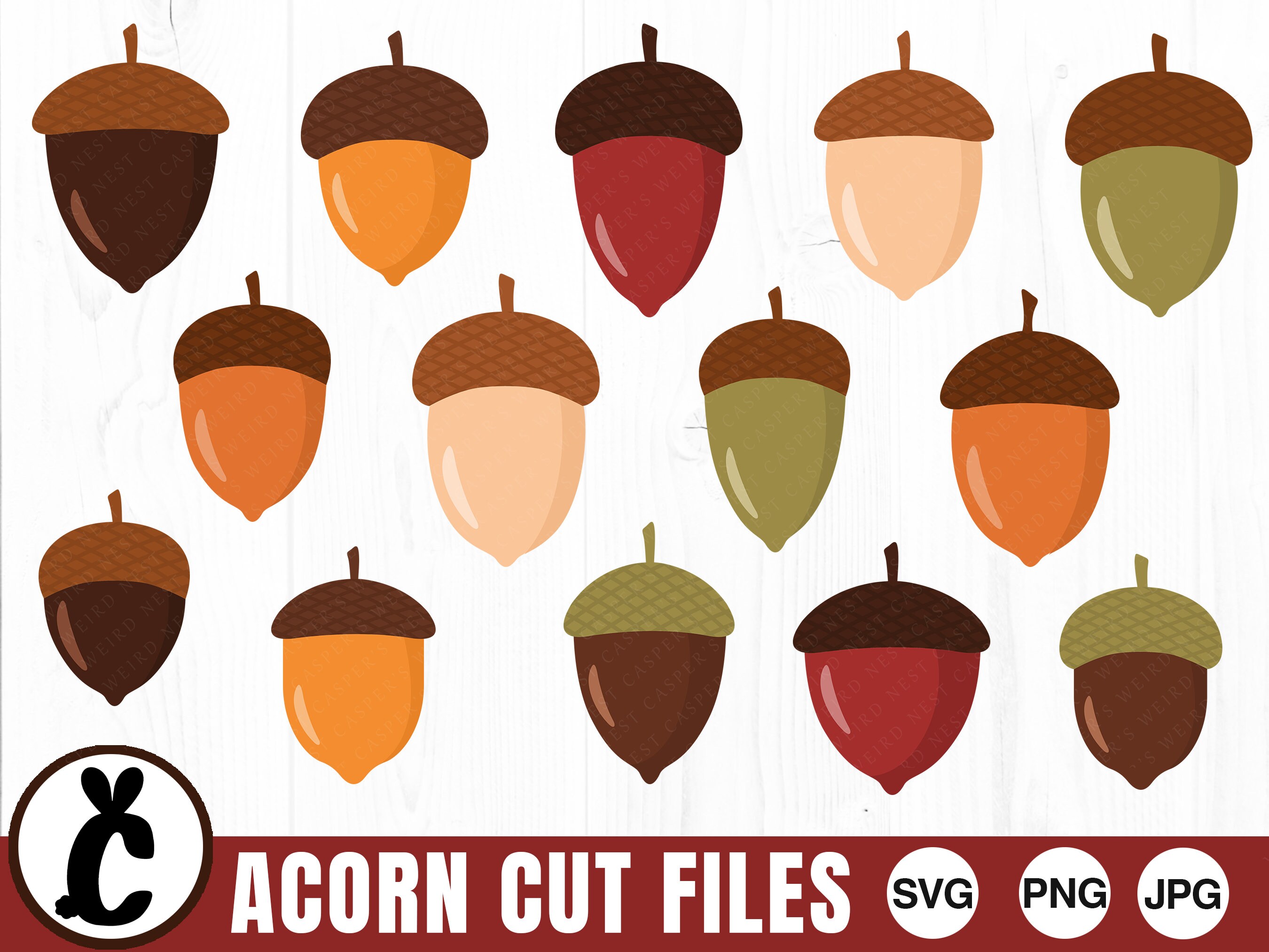 Acorn Bundle, Fall Cut File, Autumn SVG, PNG, JPG (digital Download) - Etsy