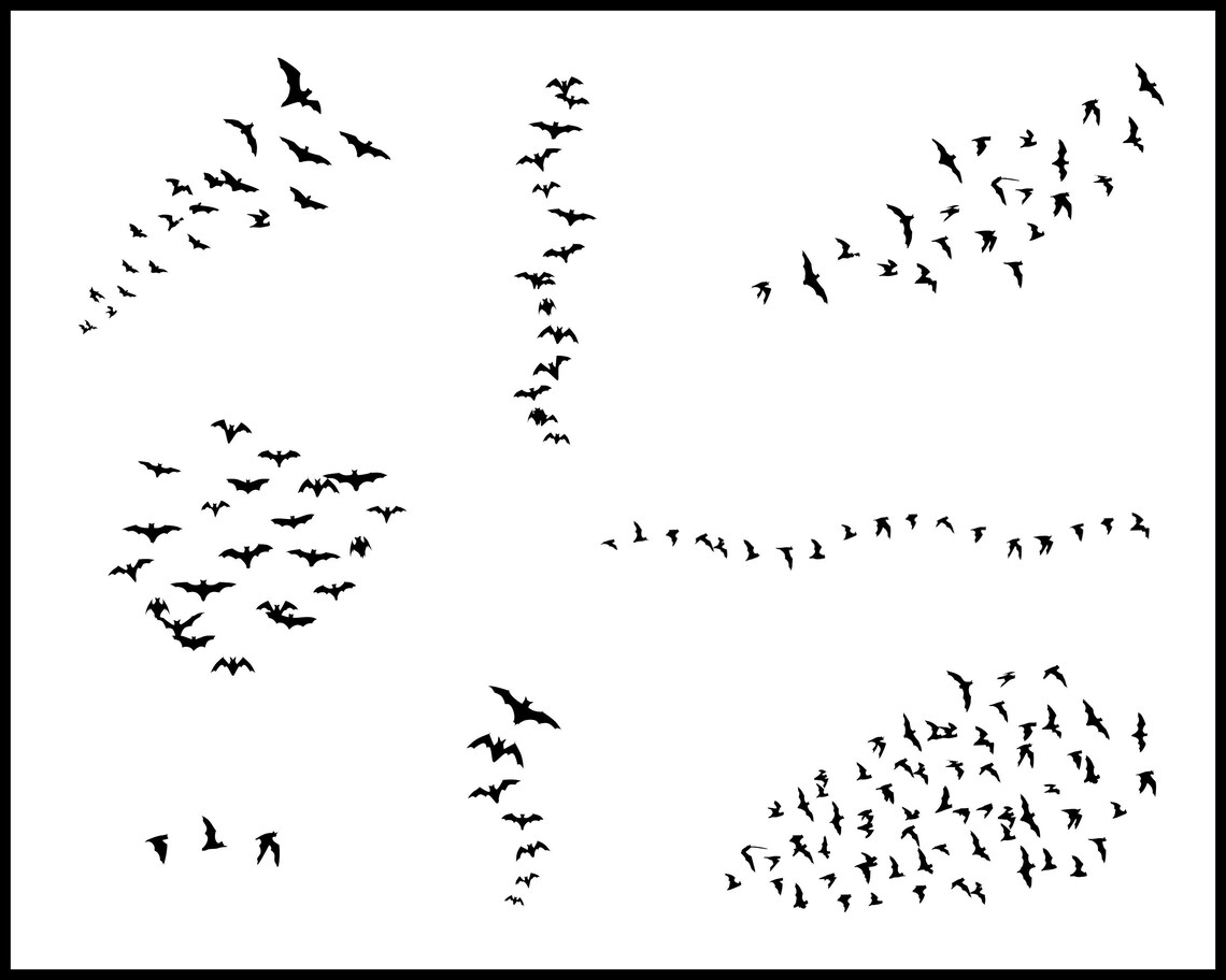 Bat Flock Photo Overlays Transparent PNG Commercial Use - Etsy