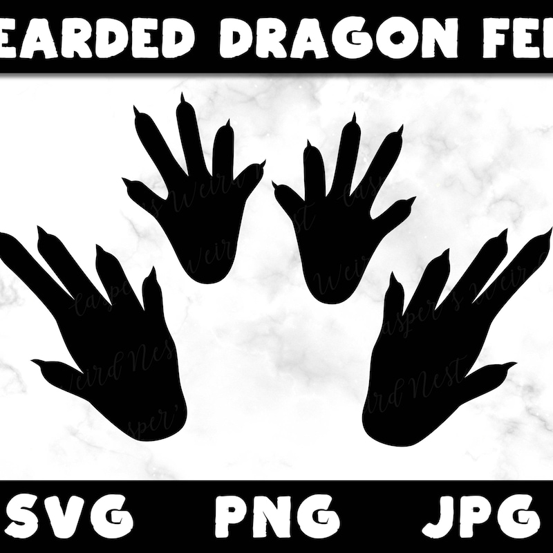 Dragon Feet Kids - Etsy