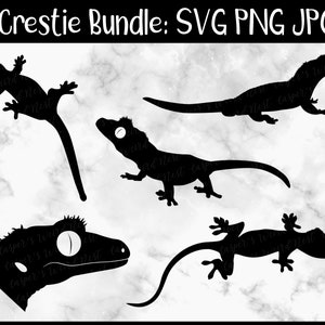 Crested Gecko Bundle - SVG, PNG, JPG - Commercial Use, Digital Cut ...