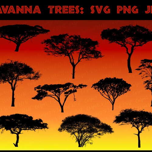 Savanna Trees Bundle SVG PNG JPG Transparent Background - Etsy