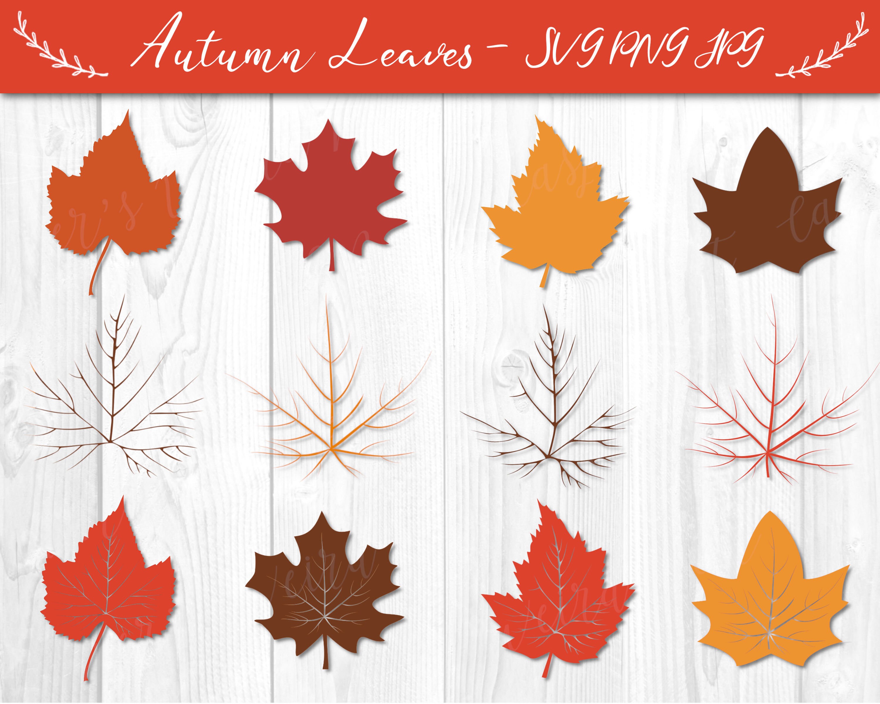 Autumn / Fall Layered Leaf Bundle SVG PNG JPG Digital Cut - Etsy