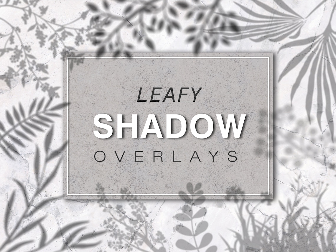 Leafy Shadows Photo Overlay Transparent PNG Commercial Use - Etsy