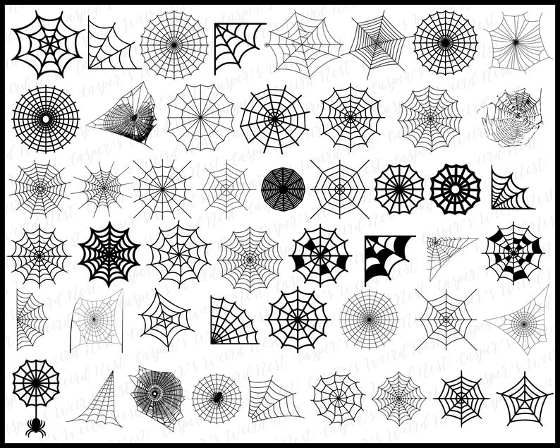 Massive Spiderweb Bundle SVG PNG JPG Commercial Use | Etsy
