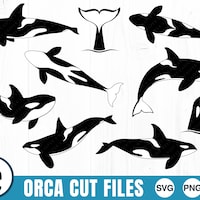Killer Whale Svg | Orca Clipart | Wild Aquatic Mammal Cut File | Marine ...