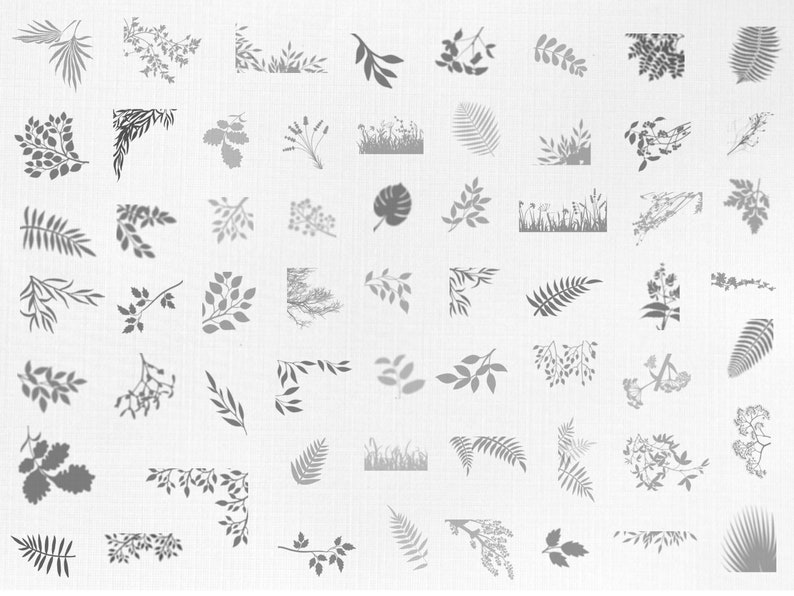 Leafy Shadows Photo Overlay Transparent PNG Commercial Use - Etsy