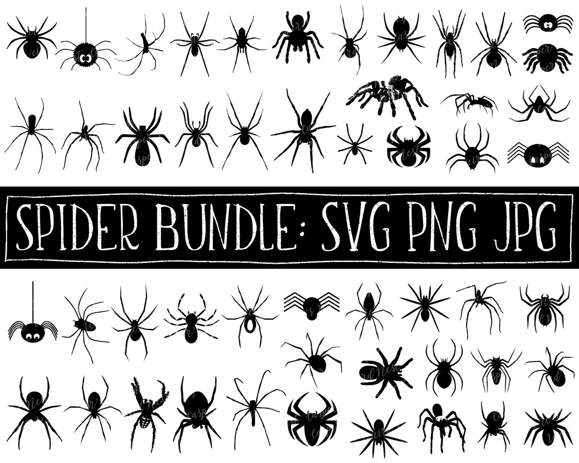 Huge Spiders Bundle SVG PNG JPG Digital Cut File | Etsy