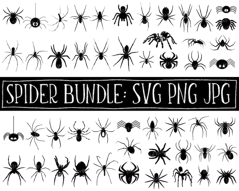 Spider SVG Bundle – Halloween Cricut Cut Files (digital Download) - Etsy