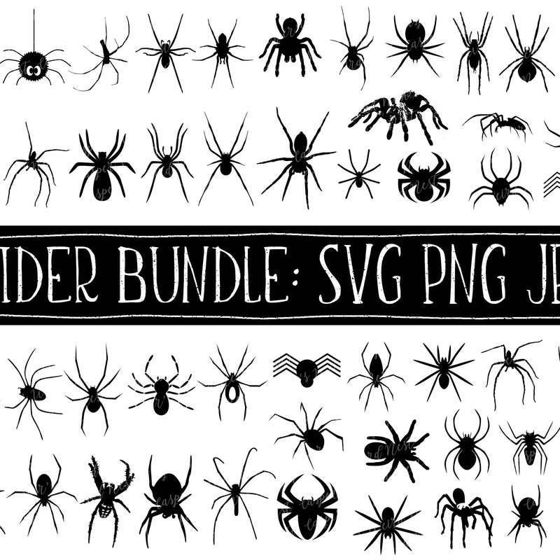 Spider Web Svg - Etsy