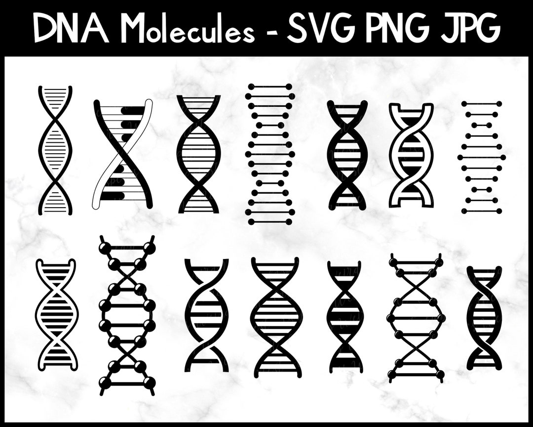 DNA Molecules Bundle - SVG, PNG, Jpg - Commercial Use - Instant ...