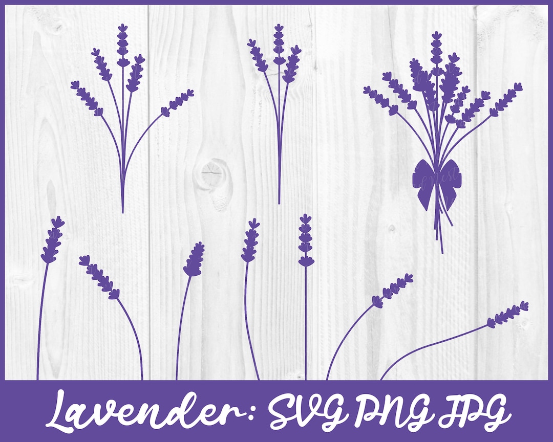 Lavender Bundle - SVG PNG JPG, Digital Cut File, Commercial Use ...