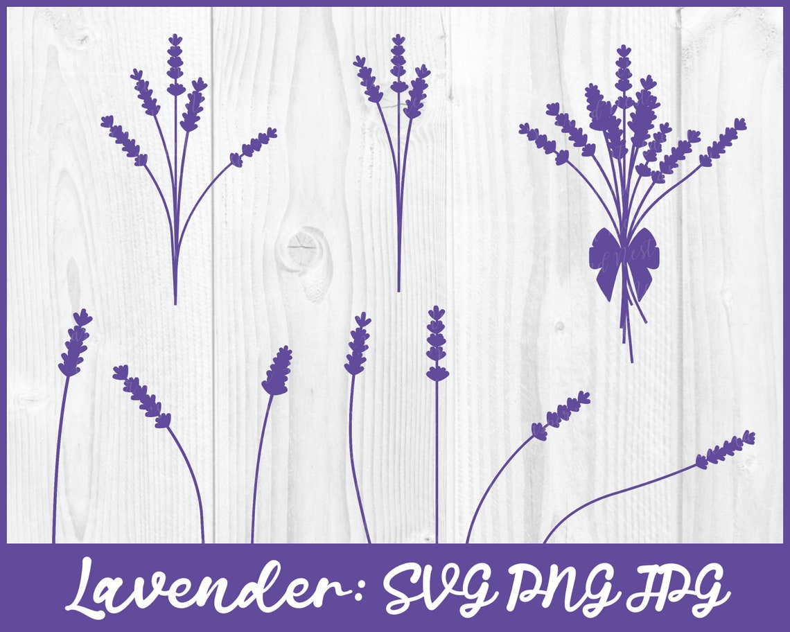 Lavender Flower SVG – Floral Clipart, Vector Cut File (digital Download ...