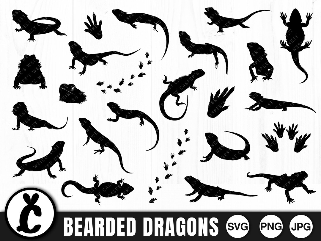 Bearded Dragon Bundle - SVG, PNG, JPG - Commercial Use, Instant ...