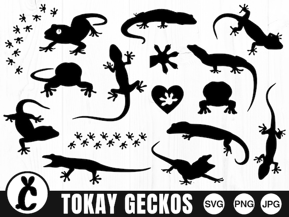 Tokay Gecko Bundle SVG PNG JPG Commercial Use Digital | Etsy