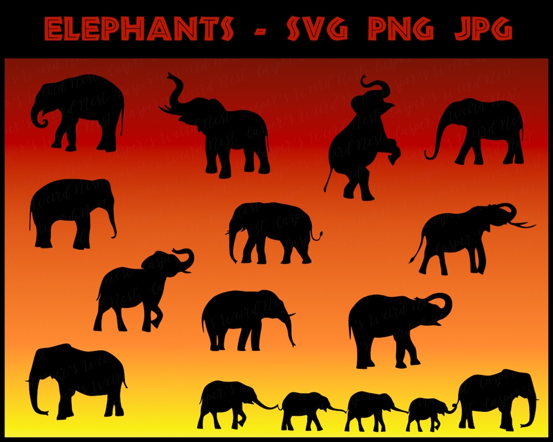 Elephant Silhouettes - SVG, PNG, JPG - Digital Cut Files, Commercial ...