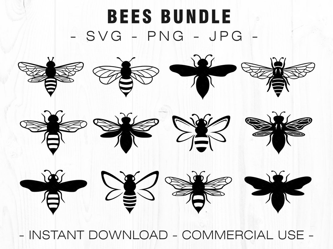 Bee Bundle SVG PNG JPG Commercial Use, Digital Cut File, Instant ...