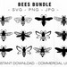 Bee Bundle - SVG PNG JPG - Commercial Use, Digital Cut File, Instant ...