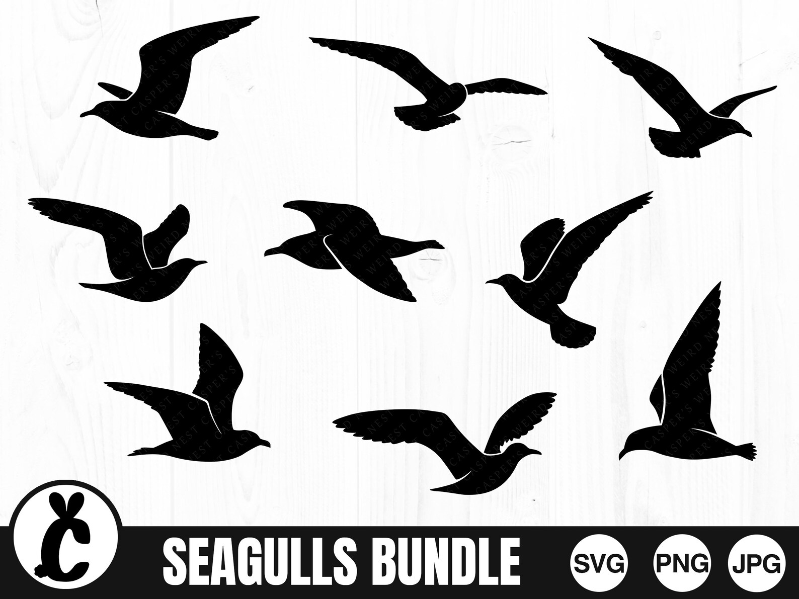 Seagull Bundle SVG JPG PNG Commercial Use Digital Cut - Etsy