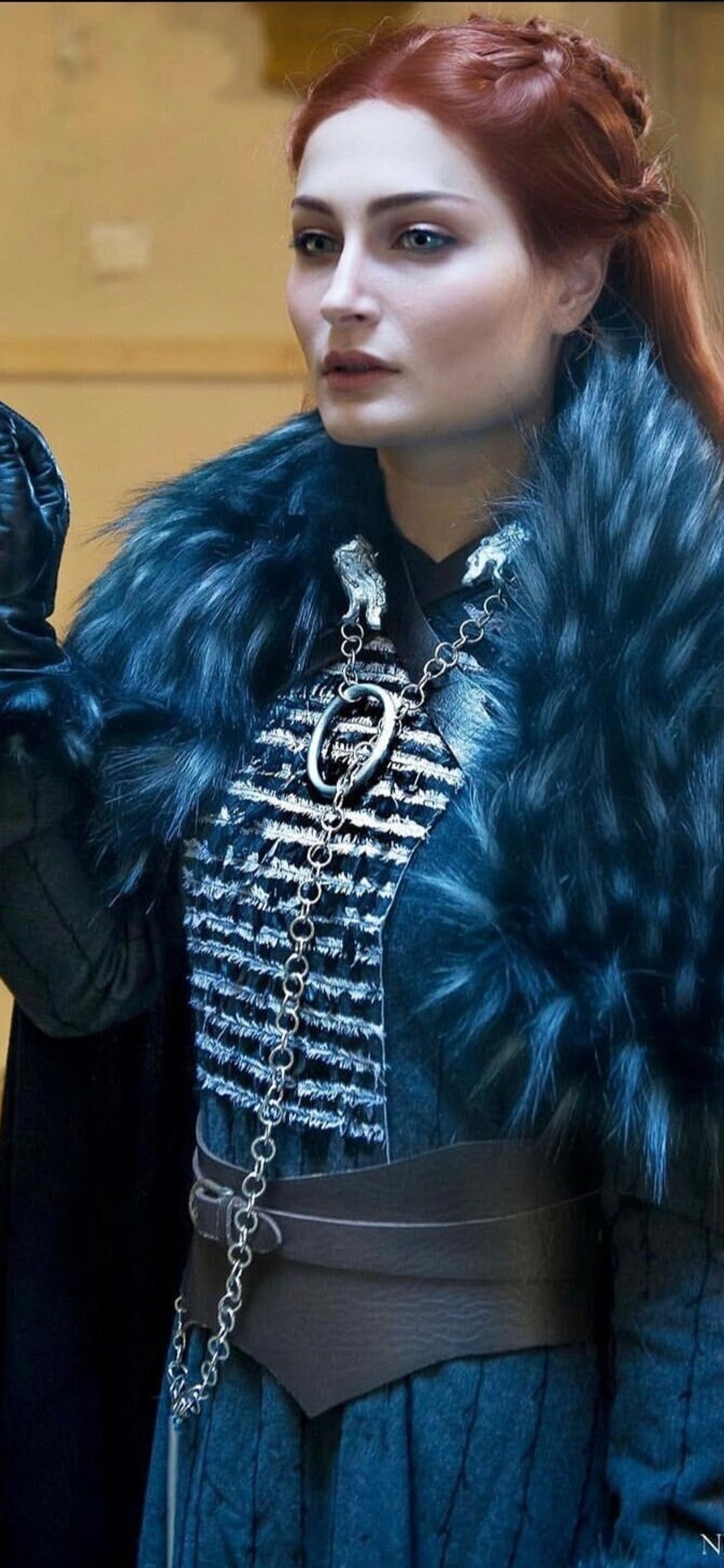 Sansa Stark Cosplay - Etsy