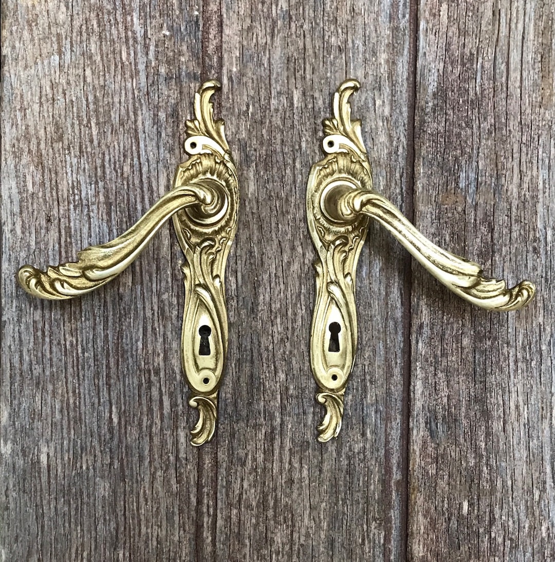 A Pair of Detailed Well-moulded Gilt Bronze Door Handles in the Rococo ...