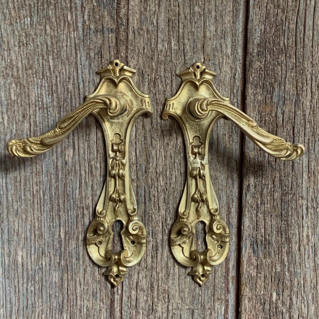 A Pair of Exquisitely Detailed Antique Gilt Bronze Door Handles in the ...