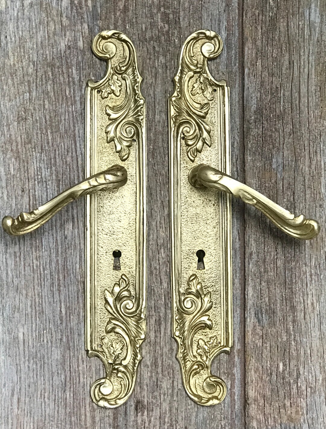 A Pair of Magnificent Antique Gilt Bronze Doorplates in the Rococo ...