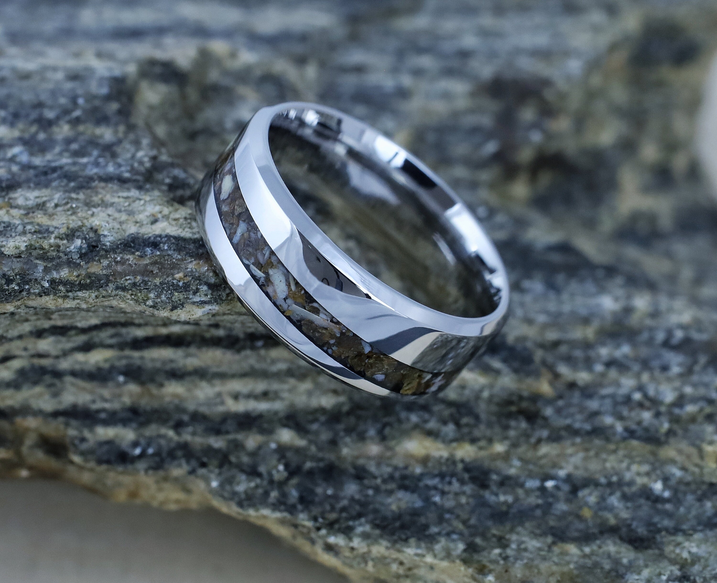 Stainless Steel Bronzite Ring With Fossilized Shark Tooth - Etsy