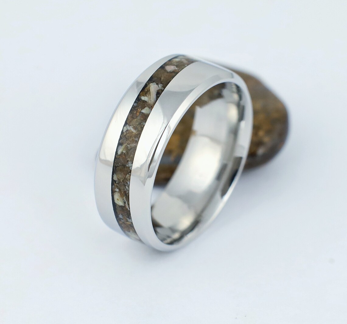 Stainless Steel Bronzite Ring With Fossilized Shark Tooth - Etsy