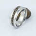 Stainless Steel Bronzite Ring With Fossilized Shark Tooth - Etsy