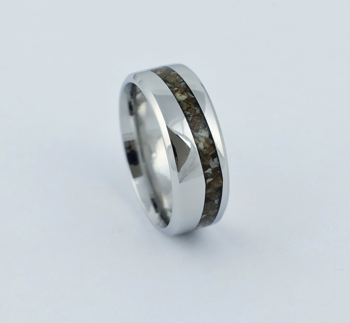 Stainless Steel Bronzite Ring With Fossilized Shark Tooth - Etsy