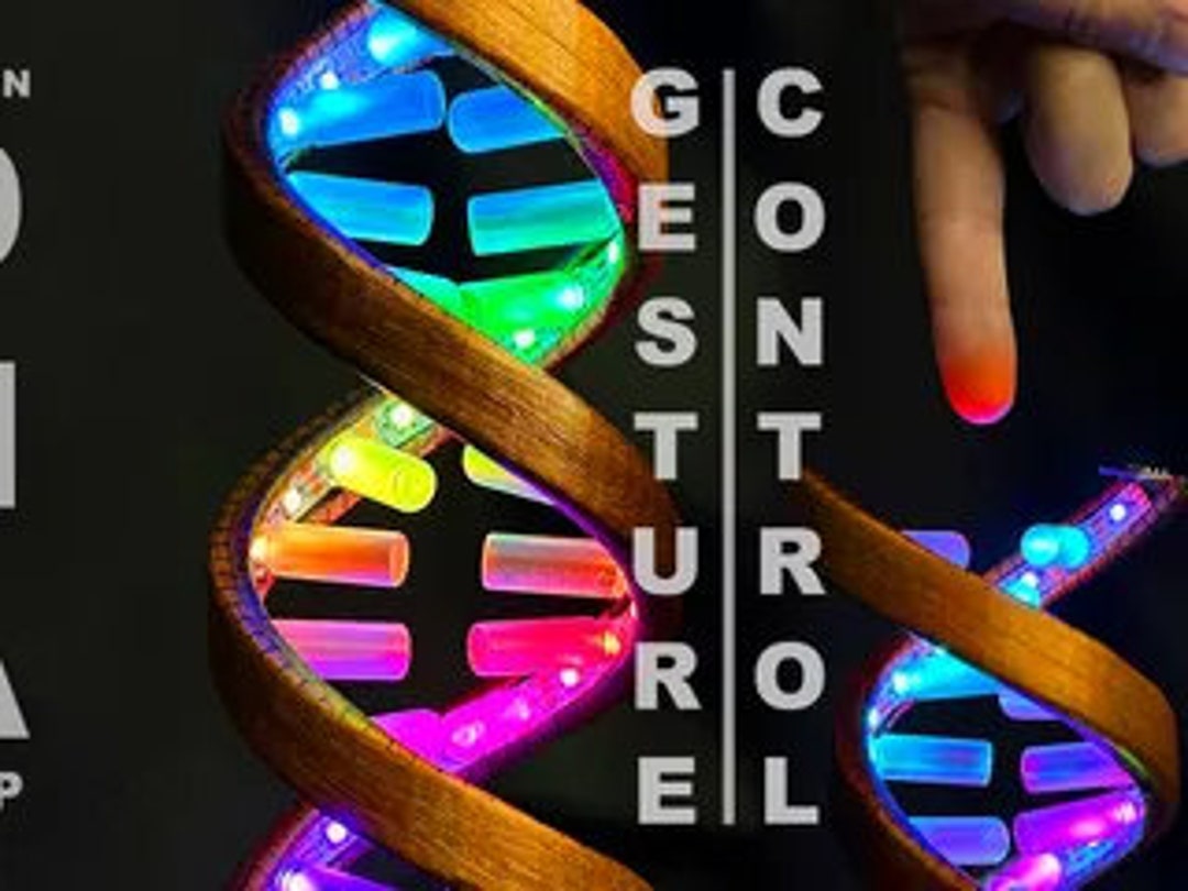 Gesture Controlled Wooden Dna Desk Lamp - Etsy