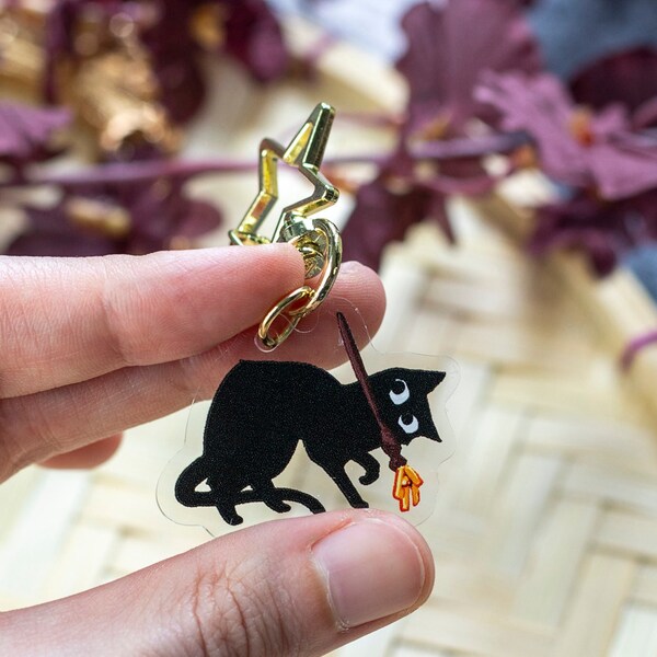 Acrylic Cat Keychain - Etsy