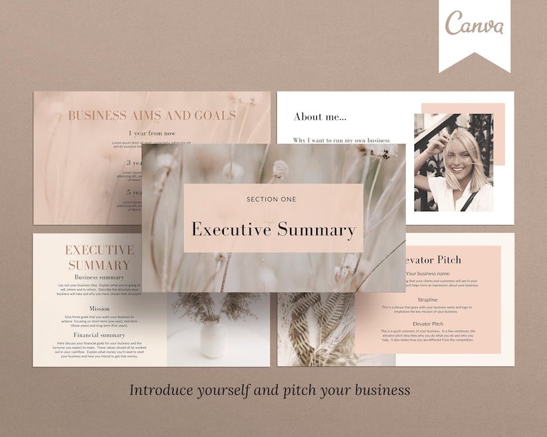 Amber Business Plan Template: 70-slide Canva Presentation - Etsy