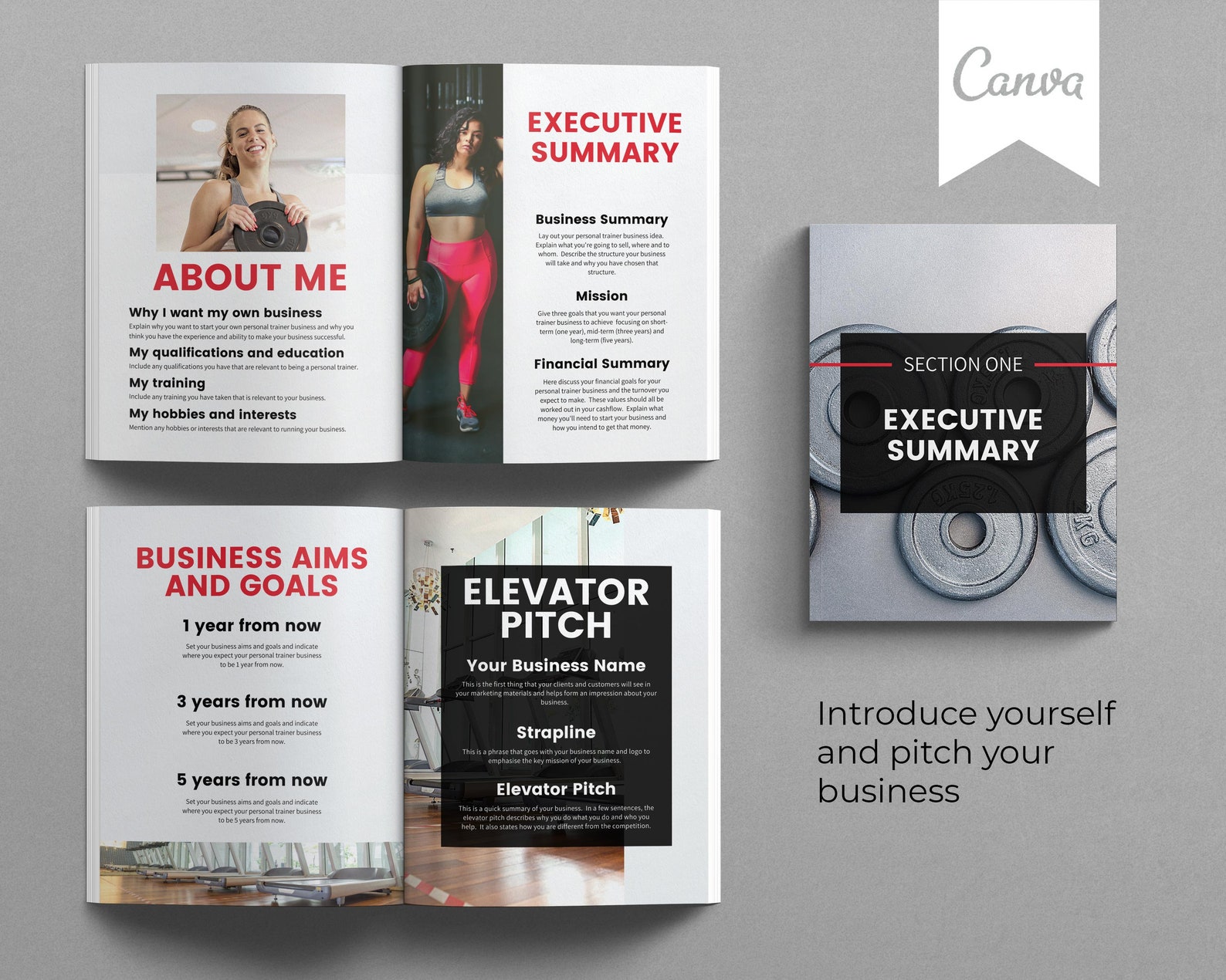 Personal Trainer Business Plan Template Canva Template - Etsy Canada
