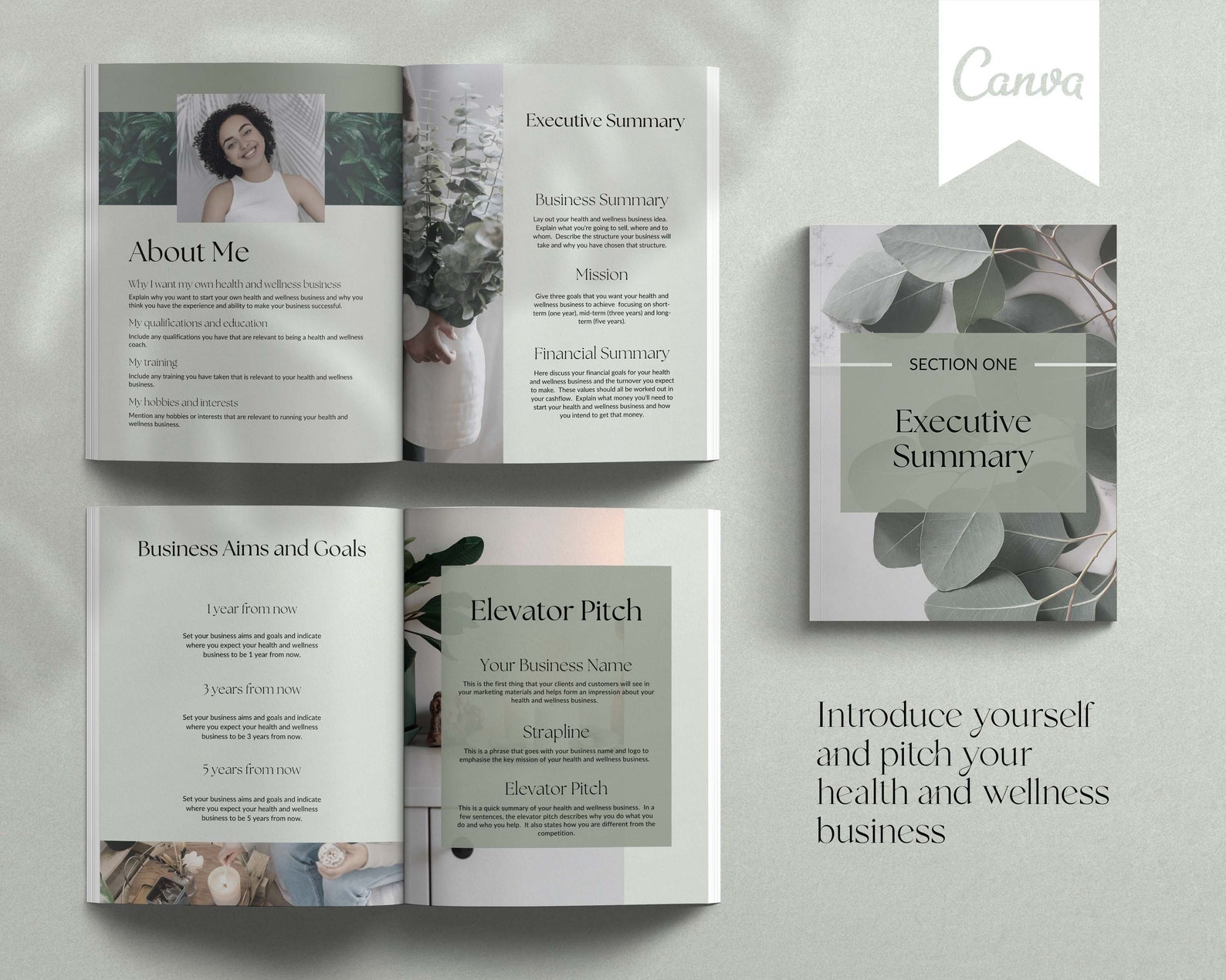 Health and Wellness Business Plan Canva Template Health - Etsy