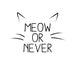 Meow or Never Print - Etsy UK