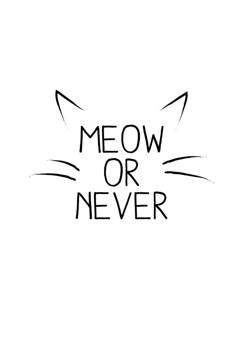 Meow or Never Print - Etsy UK